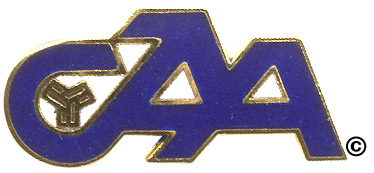 Community Action Pins