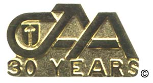 Community Action Pins