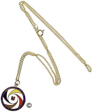 Community Action Pins